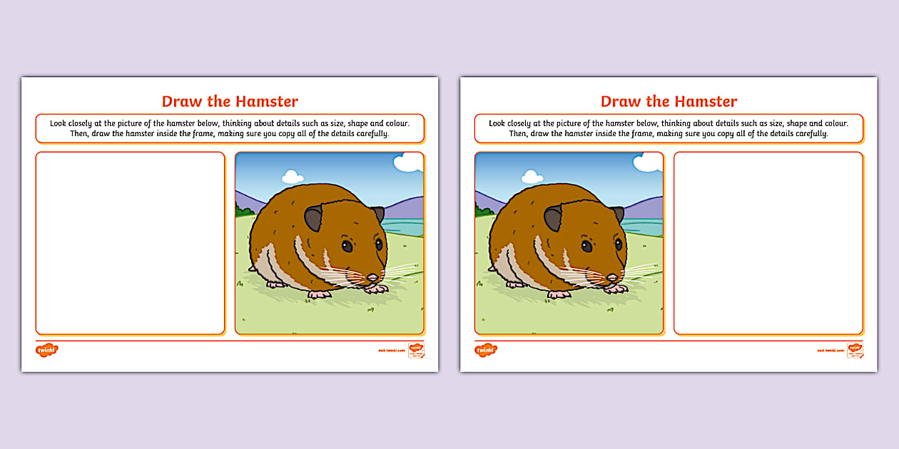 Draw the Hamster Worksheet (Hecho por educadores) - Twinkl