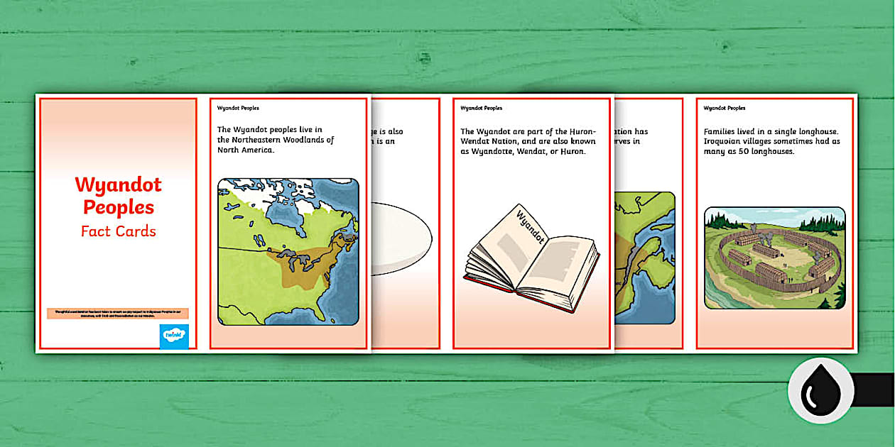 FREE! - Wyandot Fact Cards (teacher made) - Twinkl