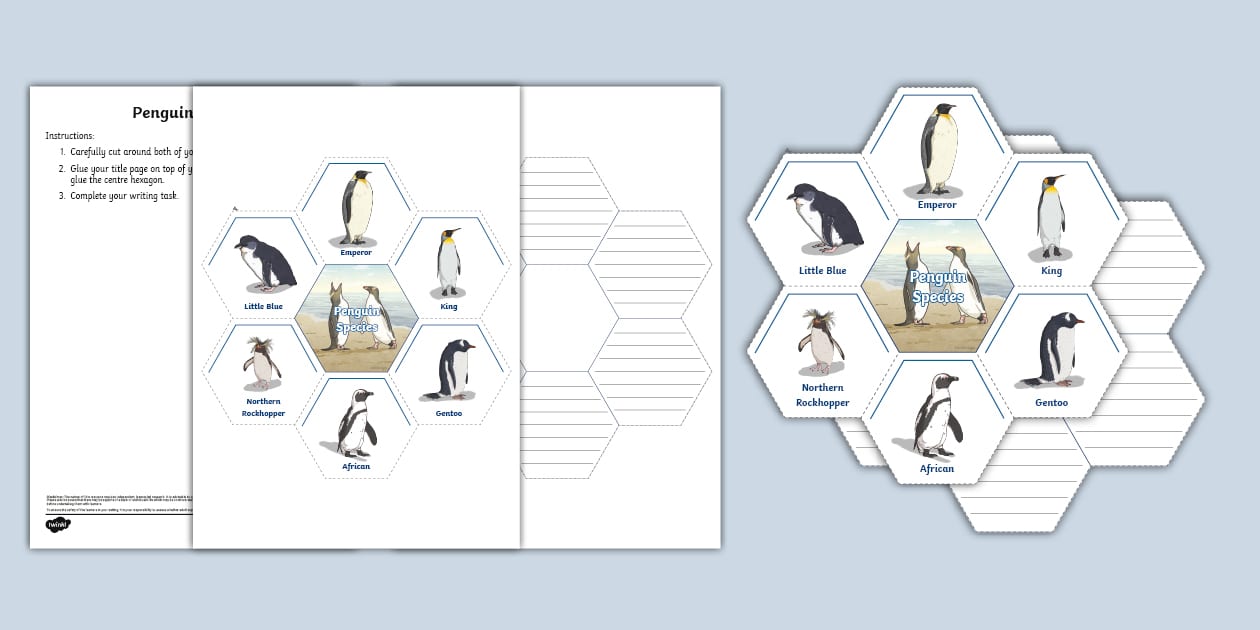 Penguin Species Hexagon Writing Template - Twinkl