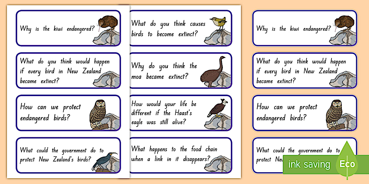 New Zealand Extinct Birds Question Prompt Cards - Twinkl