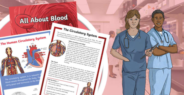 World Blood Donor Day 2025 | Theme and Facts | Twinkl