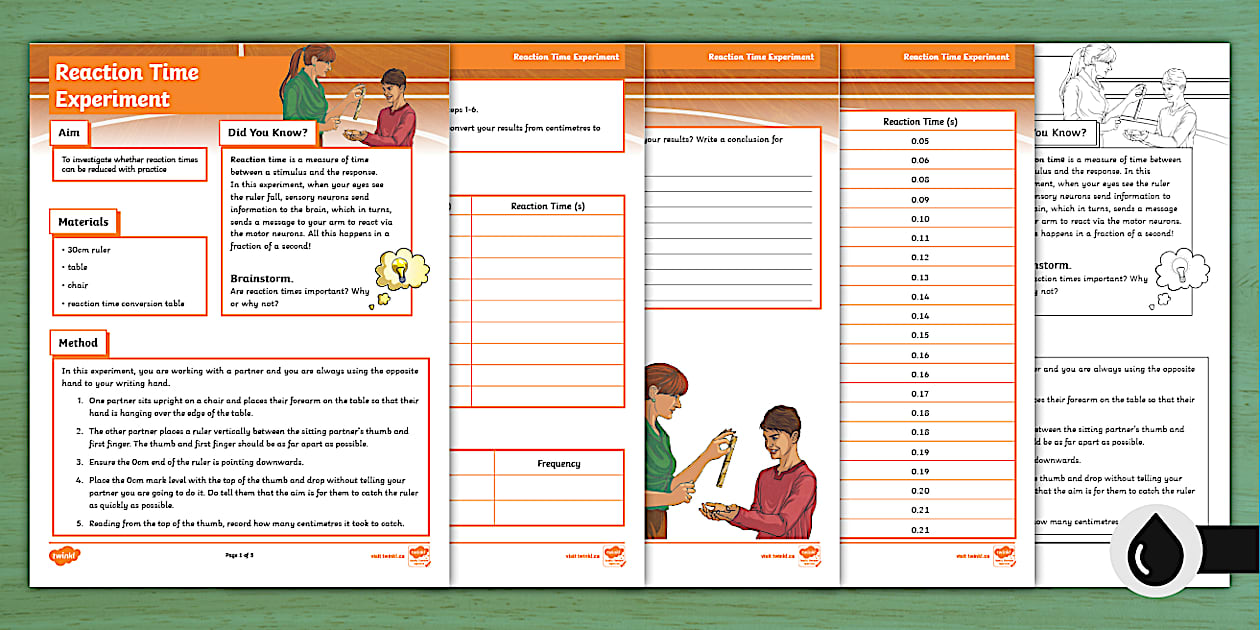 Human Body Experiments Grade 5 | Reaction Time Test - Twinkl