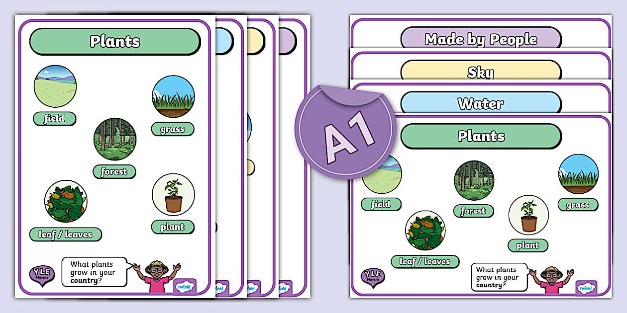 YLE Movers - Vocabulary Poster: The World Around Us [A1]