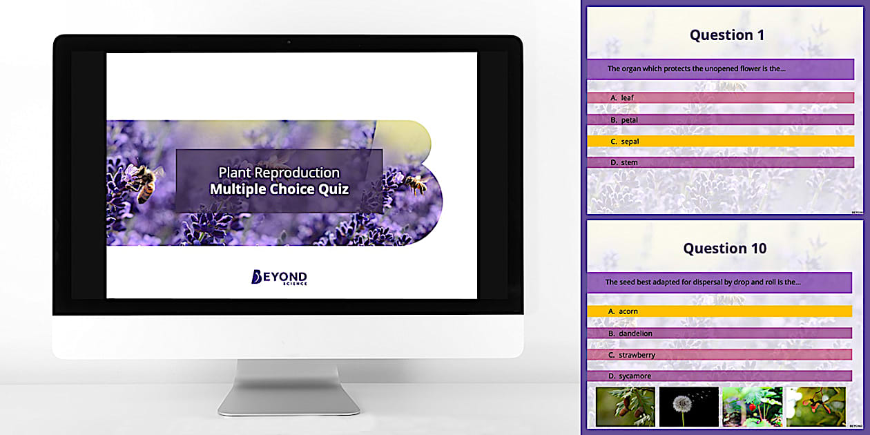 Plant Reproduction Quiz | KS3 Biology | Beyond - Twinkl