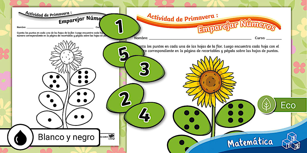 primavera números emparejar primero matemática básica guía