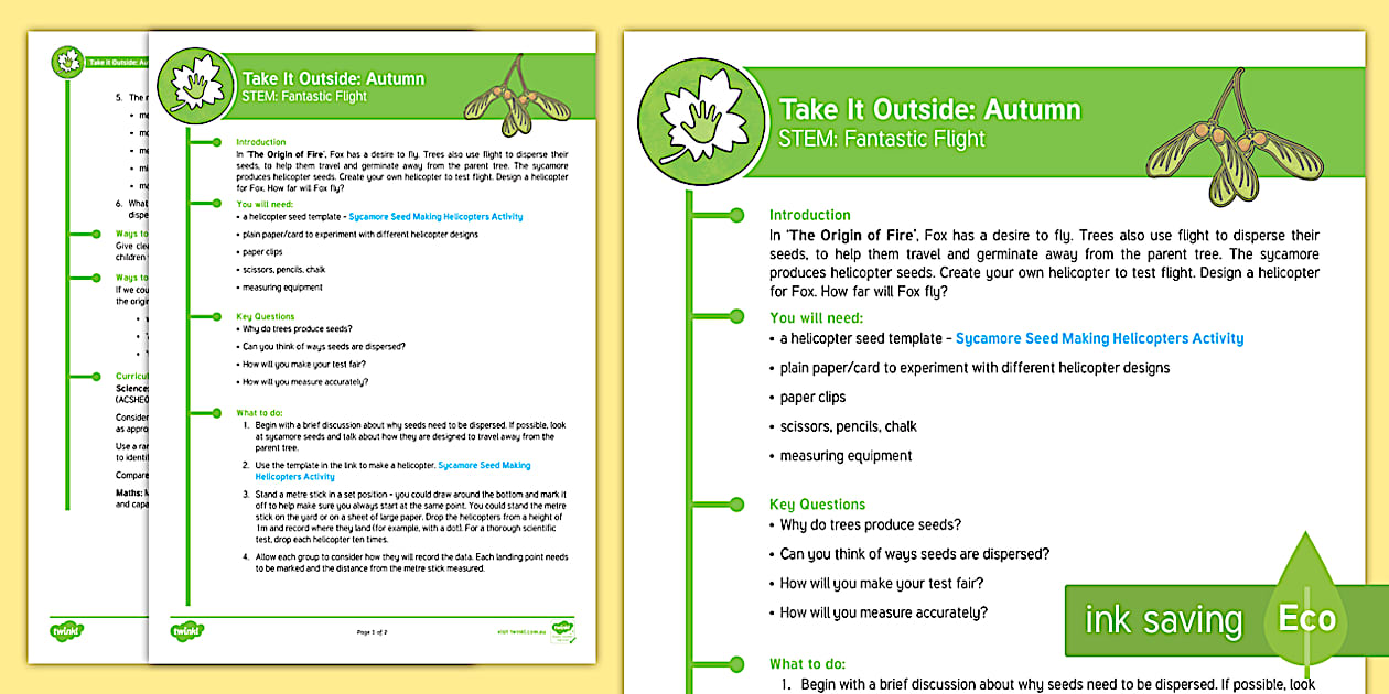 Fantastic Flight STEM Activity (Teacher-Made) - Twinkl