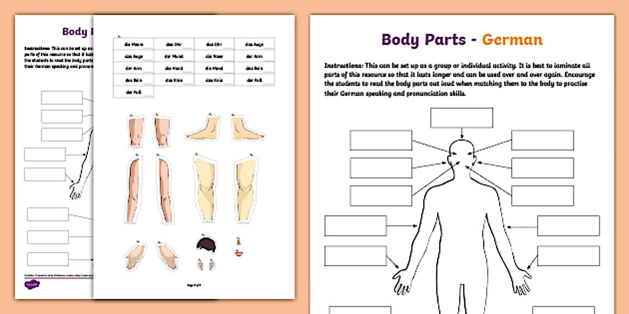 Body Parts Matching Game - German (teacher made) - Twinkl