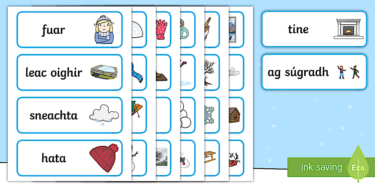 Junior Cycle An Geimhreadh Word Cards Gaeilge - ROI