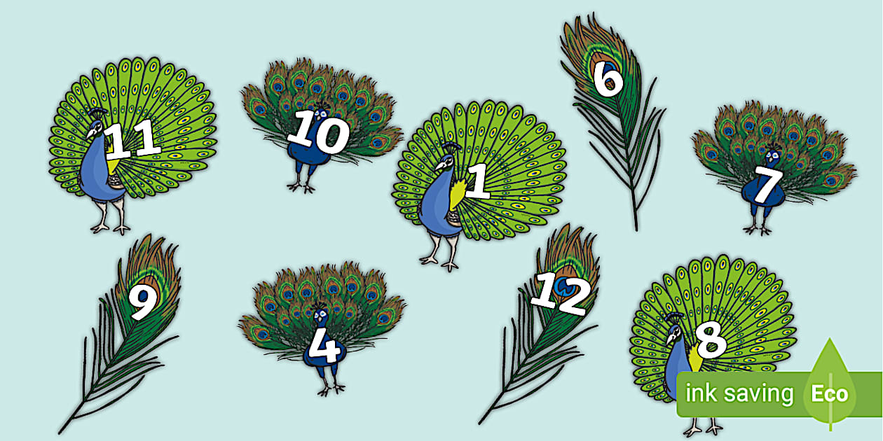 Numbers 0 to 20 on Peacocks Cut-Outs - - Twinkl