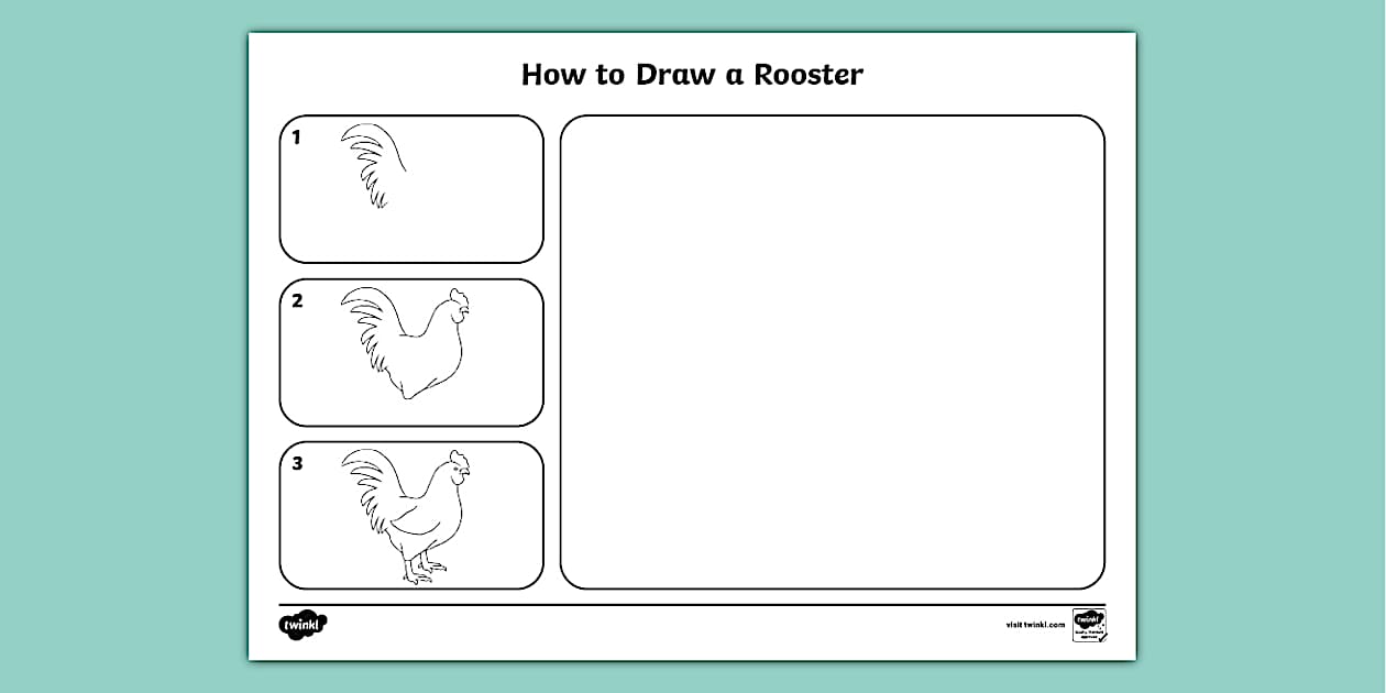 How to Draw a Rooster Activity (Teacher-Made) - Twinkl