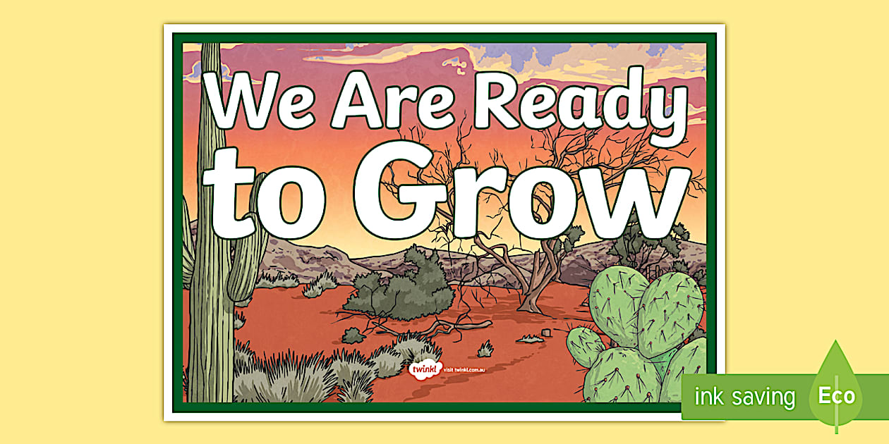 Cactus Themed Display Sign (teacher made) - Twinkl