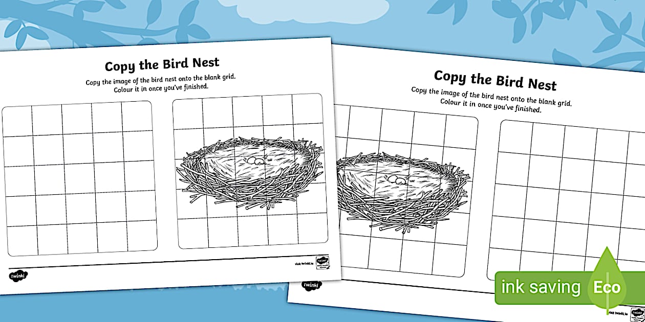 Copy the Bird Nest Worksheet (teacher made) - Twinkl