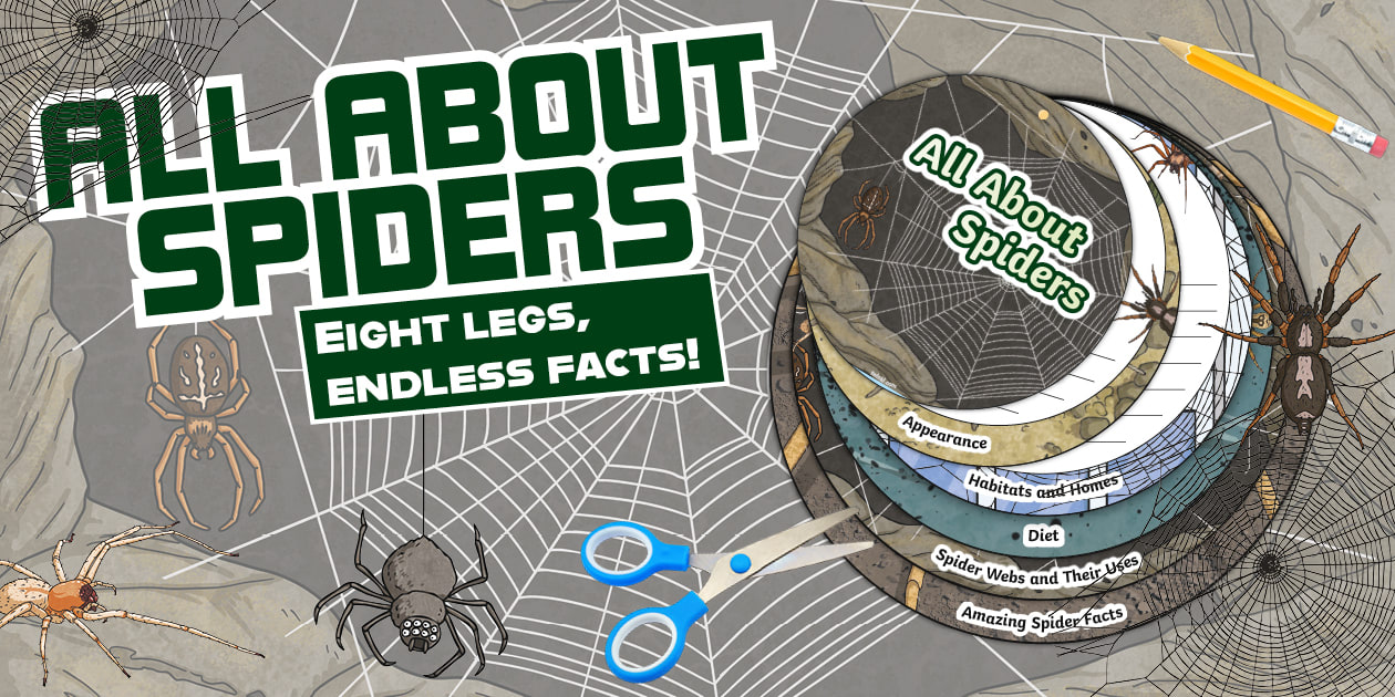 * NEW * Intermediate Phase – All About Spiders Circles Booklet