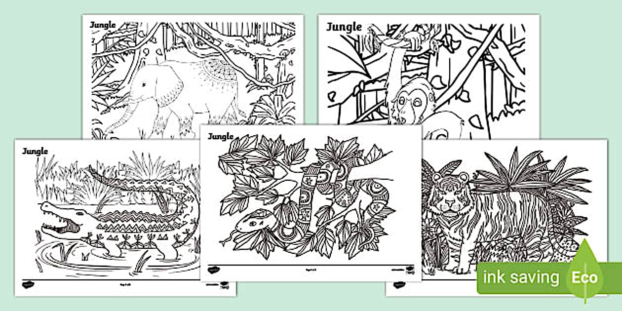 Jungle Journey Colouring Pages (teacher made) - Twinkl