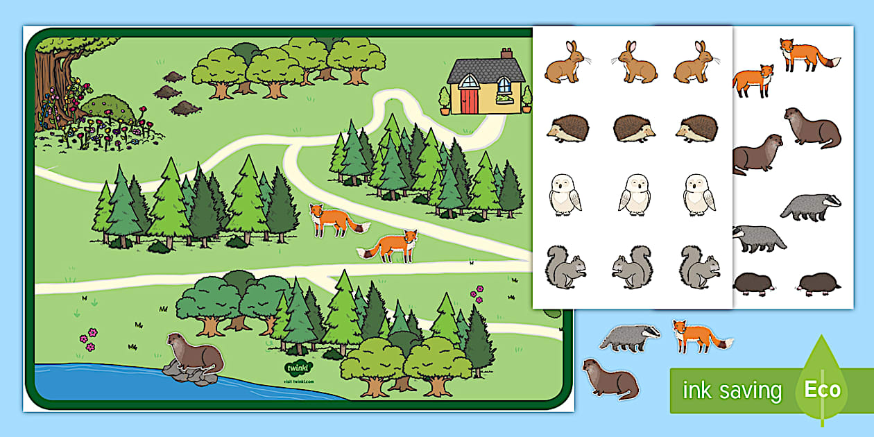 Woodland Habitat Animals Activity - KS1 Activities - Twinkl