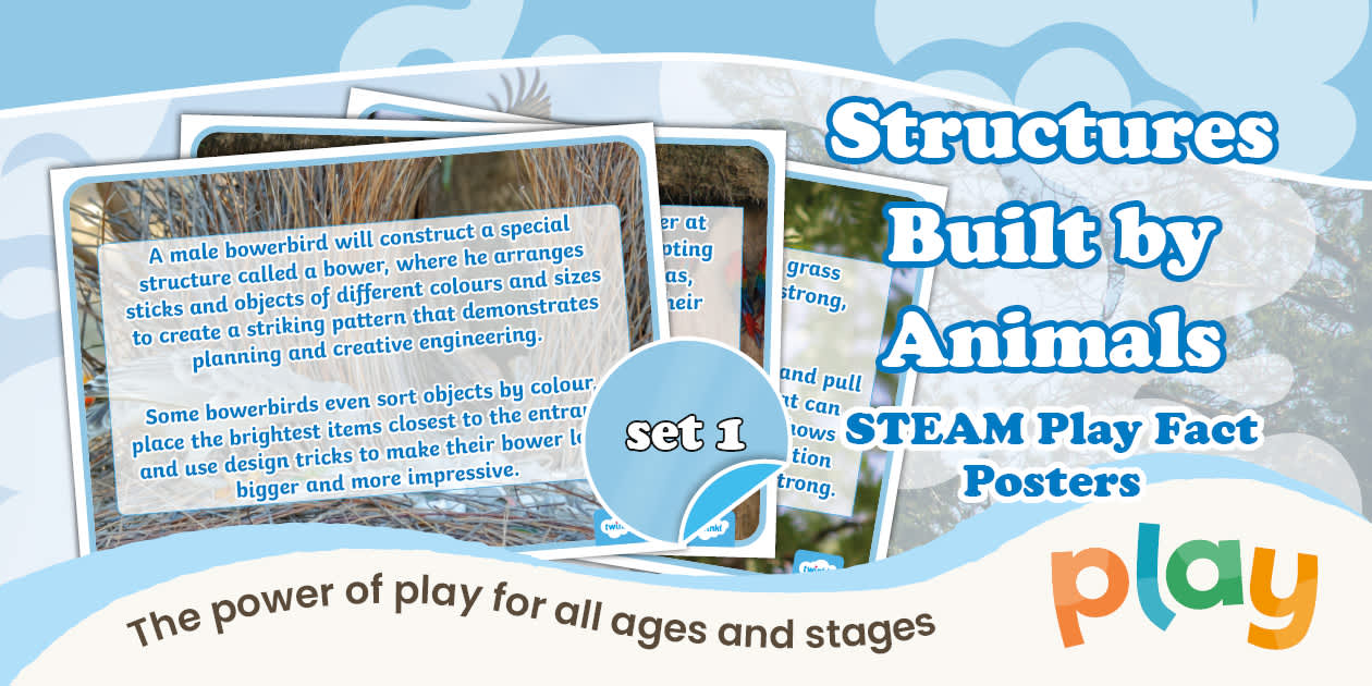 Structures Built by Animals Set 1 STEAM Play Fact Posters