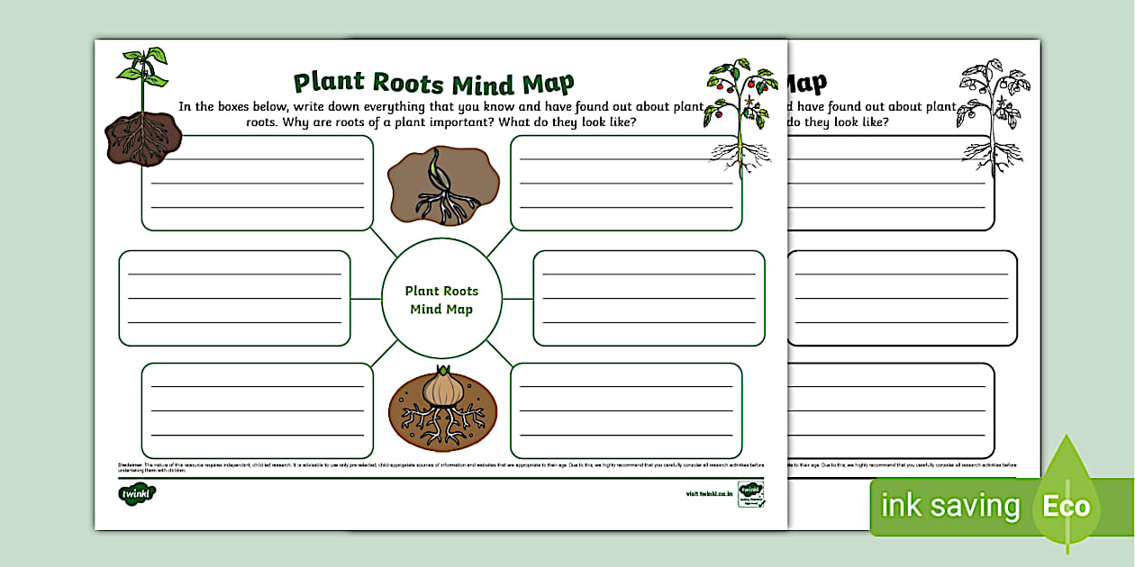 Plant Roots Mind Map (phát triển bởi giáo viên)