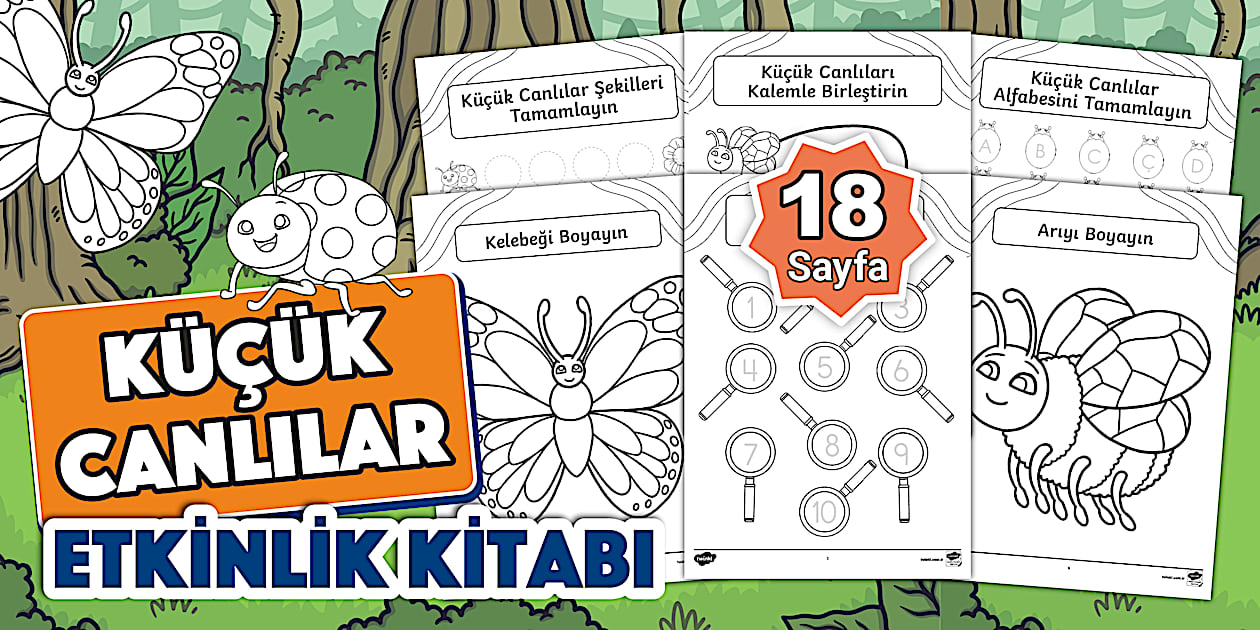 Küçük Canlılar Etkinlik Kitabı