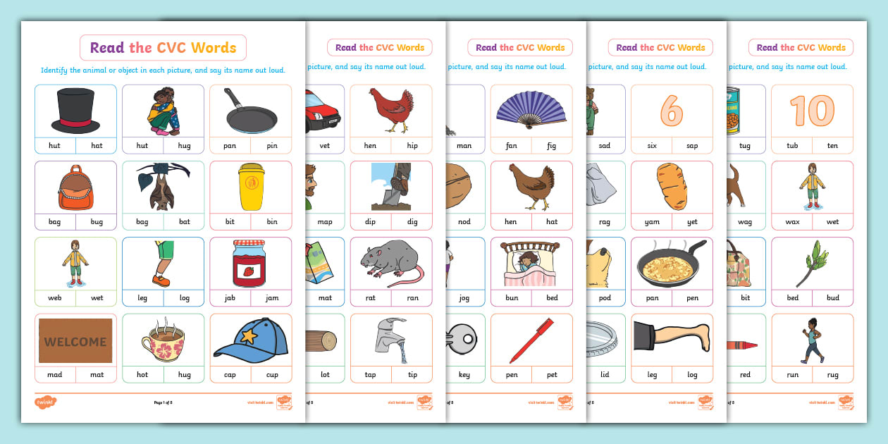 Read the CVC Words Activity | Phonics Resources - Twinkl