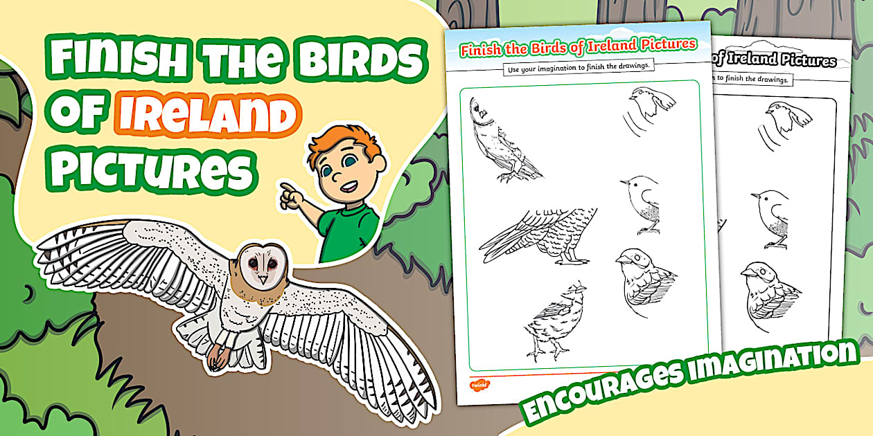 Finish the Birds of Ireland Picture Worksheet