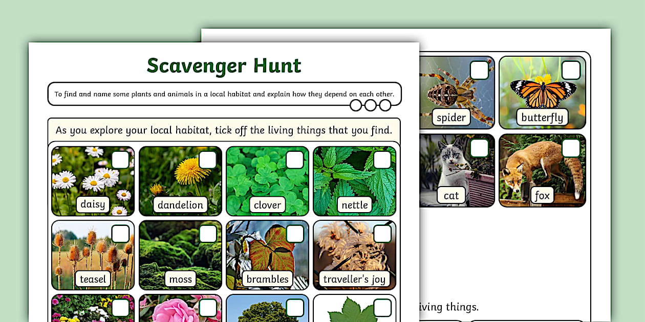 Plants and Animals in Our Local Habitat Scavenger Hunt Activity Sheet