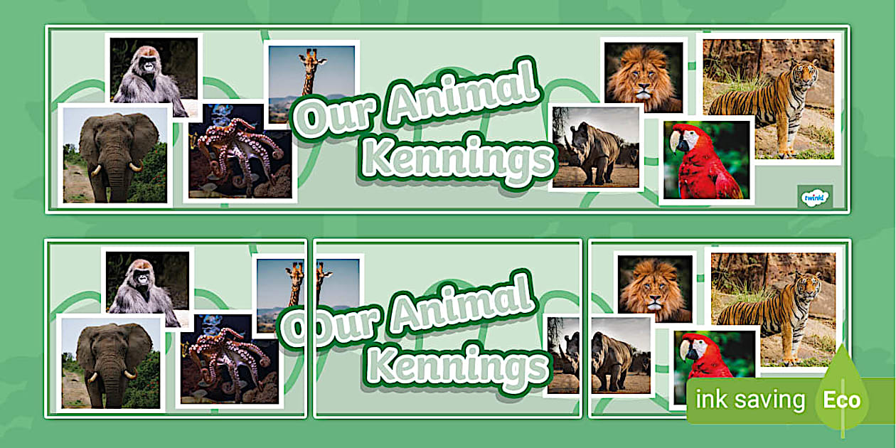 Our Animals Kennings Photo Display Banner (teacher made)