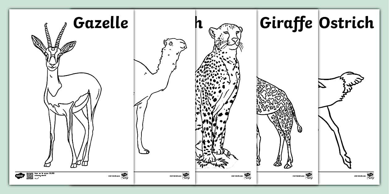 Editable Zoo Animal Outlines Colouring Sheets - Twinkl