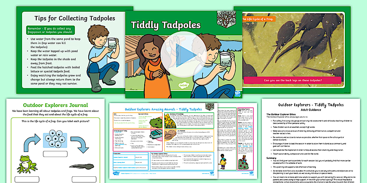Outdoor Explorers - EYFS Spring – Lesson 4: Tiddly Tadpoles Lesson Pack