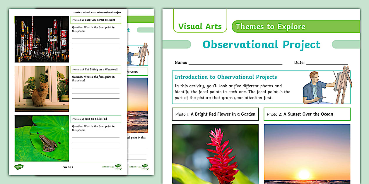 Art Theory: Themes to Explore - Observational Project Activity