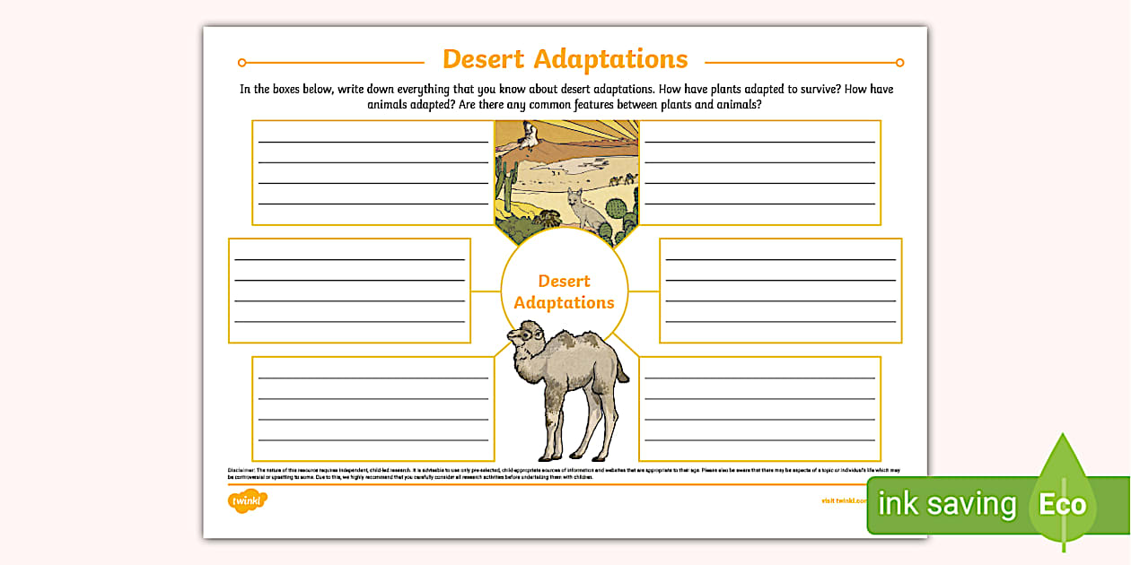 Desert Adaptations Mind Map (teacher made) - Twinkl