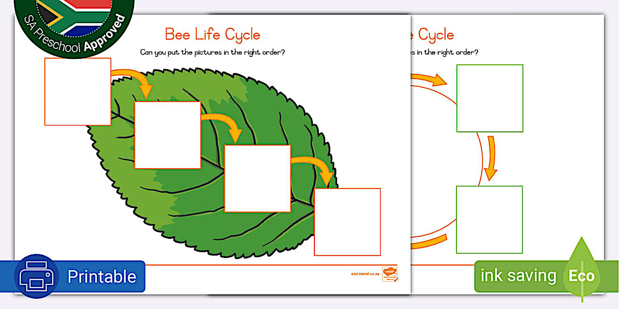Save Our Bees Life Cycle Activity Sheets - Twinkl