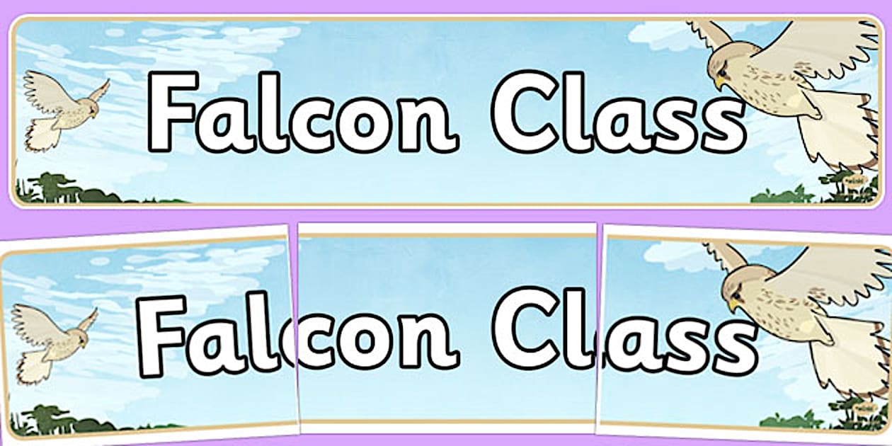 👉 Falcon Class Display Banner (teacher made) - Twinkl