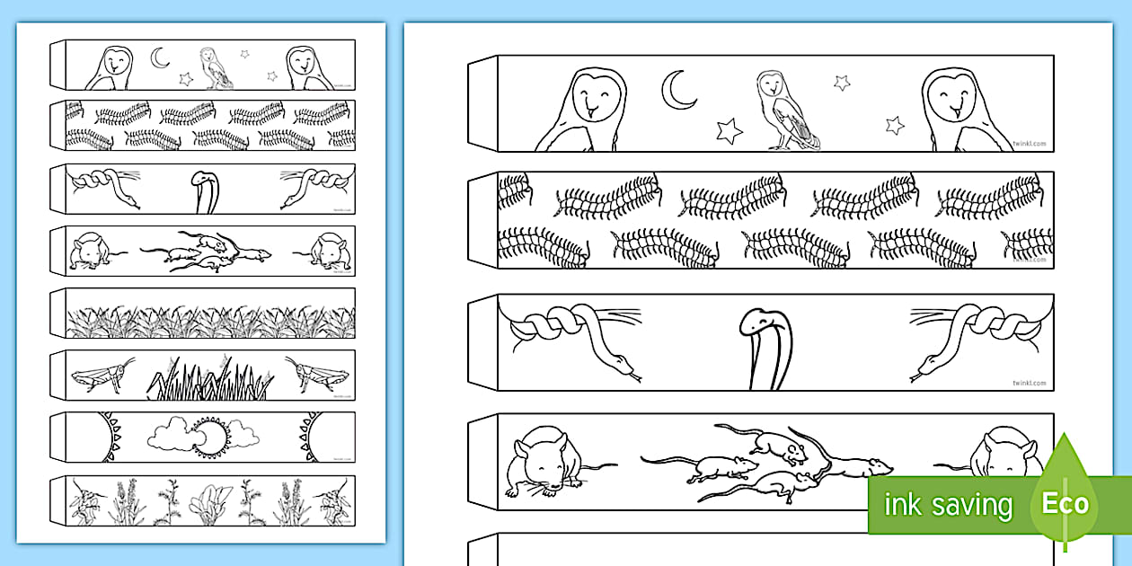 Food Chain Art Activity | Paper Chains | Living Things