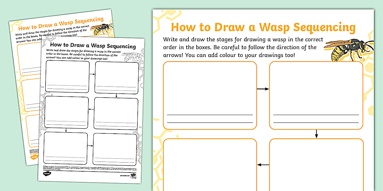 How to Draw a Wasp Sequencing Mind Map (teacher made)