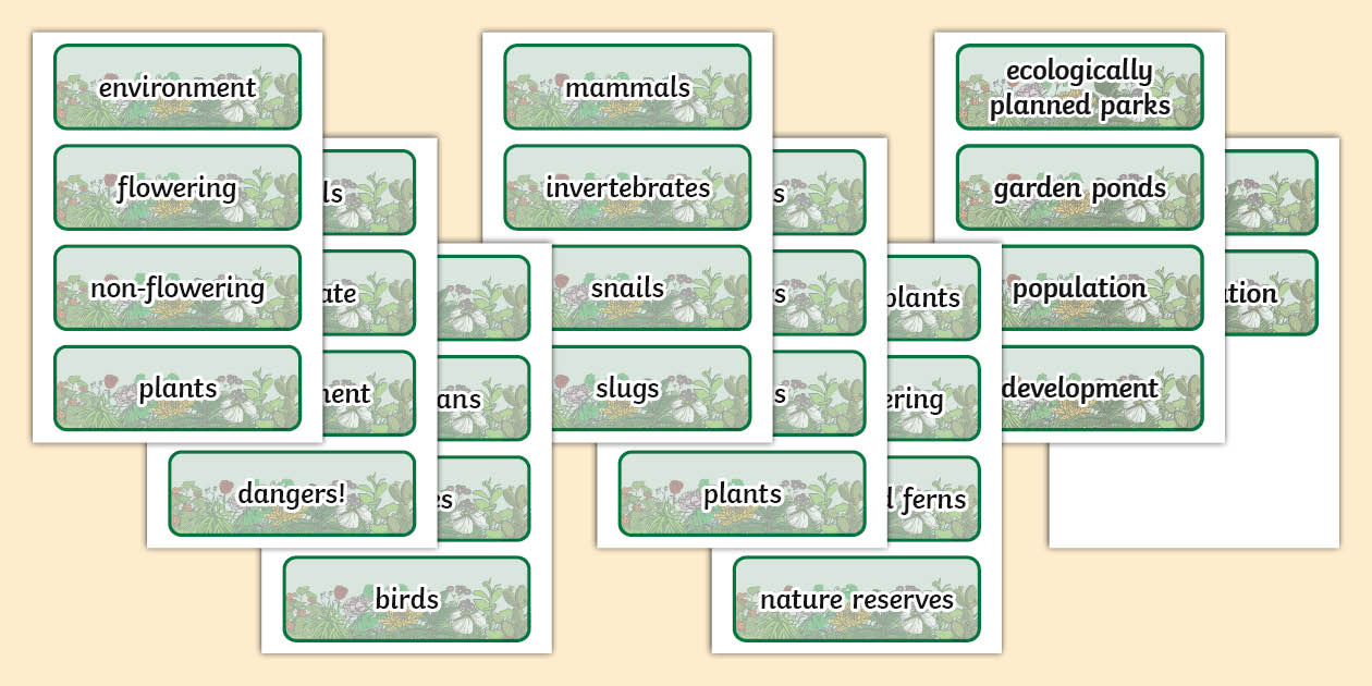 Year 4 Living Things their Habitats Scientific Vocabulary Cards