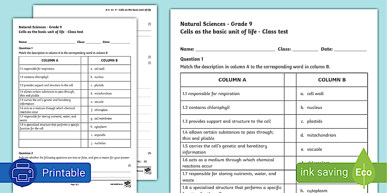 Cells Class Test for Grade 9 (teacher made) - Twinkl