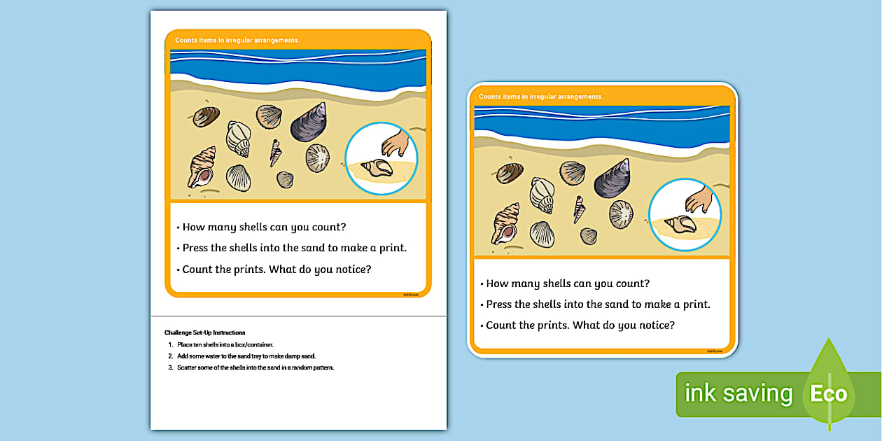 EYFS Maths Counting Challenge: Counting Shells - Twinkl