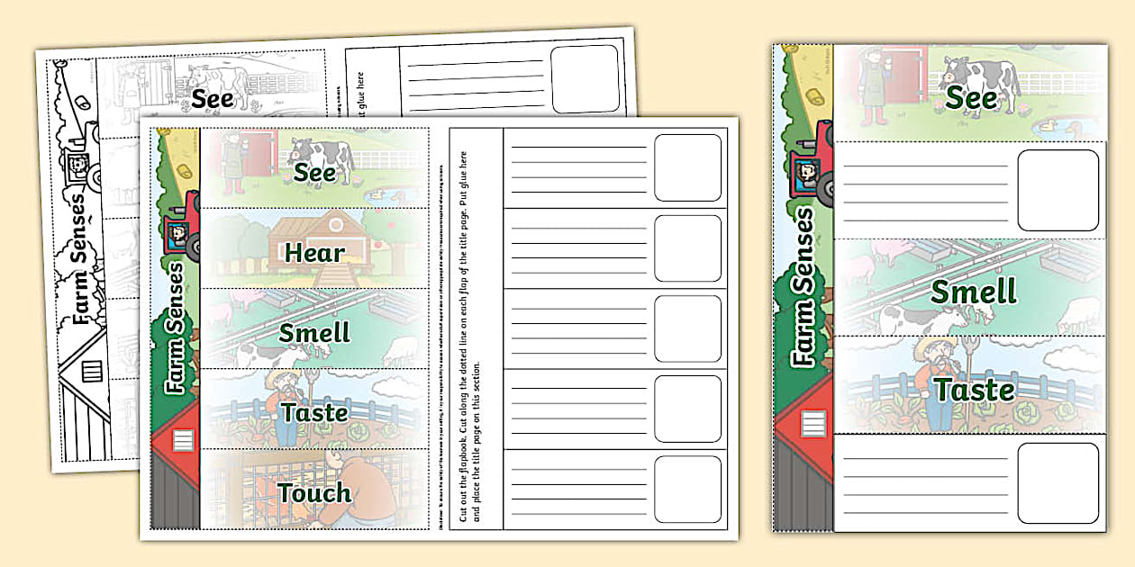Farm Senses Flapbook Activity - Twinkl Primary - Twinkl