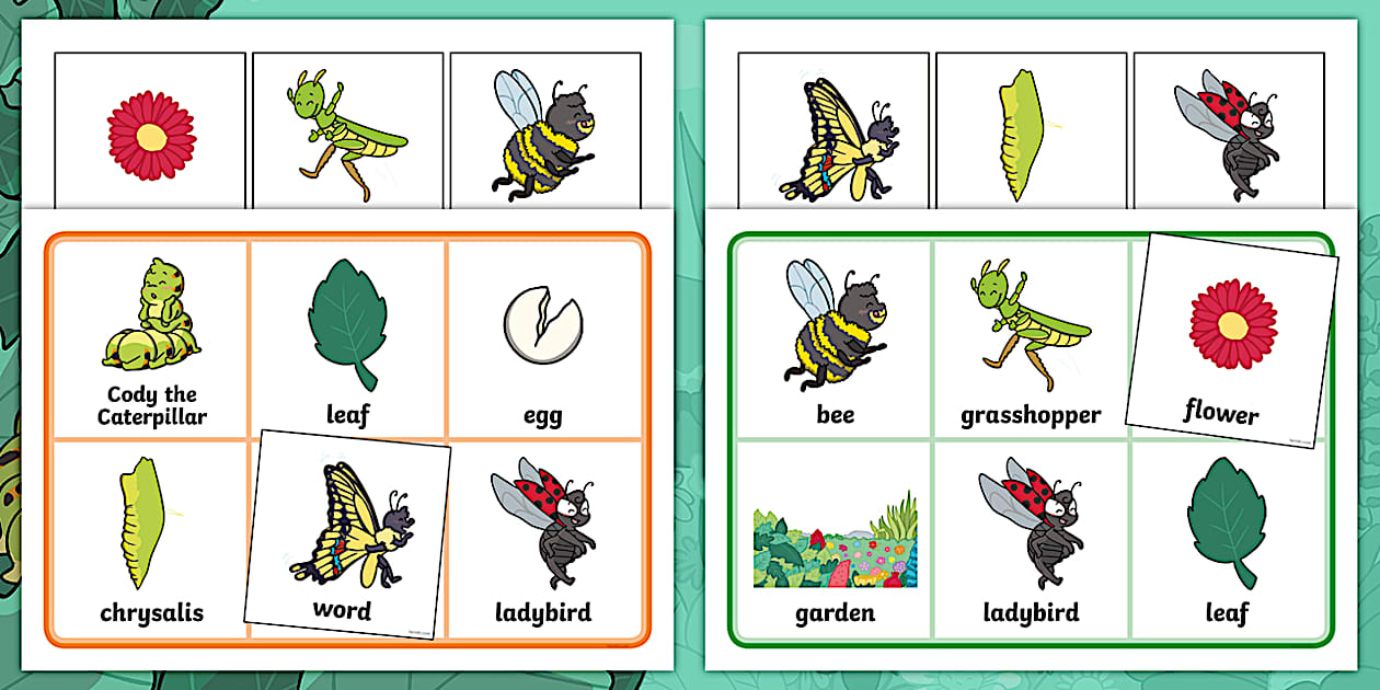 The Cautious Caterpillar Matching Cards and Board Game