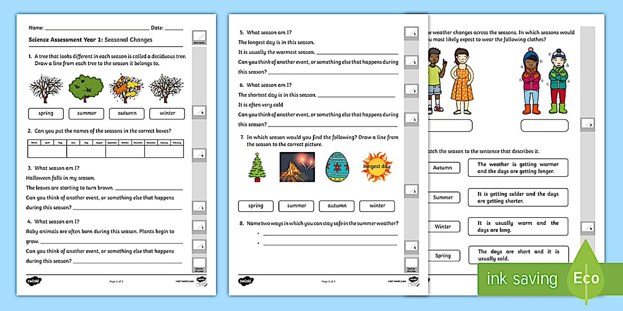 Editable Year 1 Seasonal Changes End of Unit (teacher made)