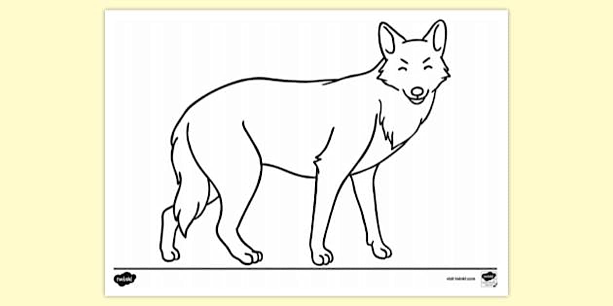 Watchful Jackal Colouring Sheet | Colouring Sheets