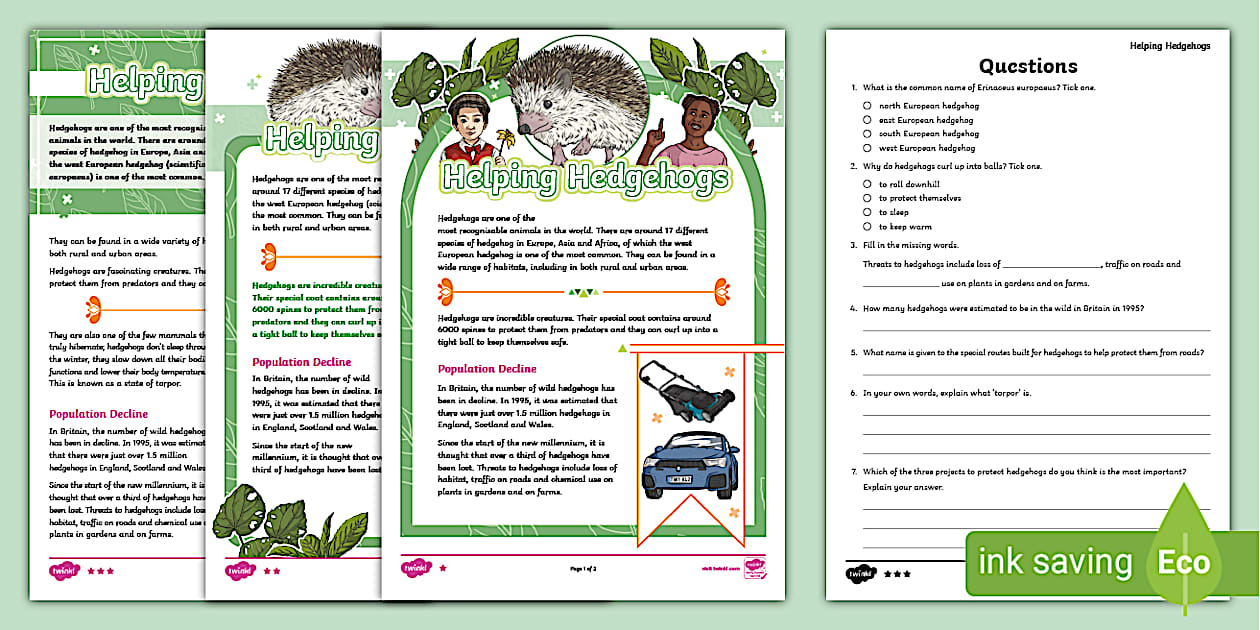 LKS2 Helping Hedgehogs Differentiated Reading Comprehension Activity