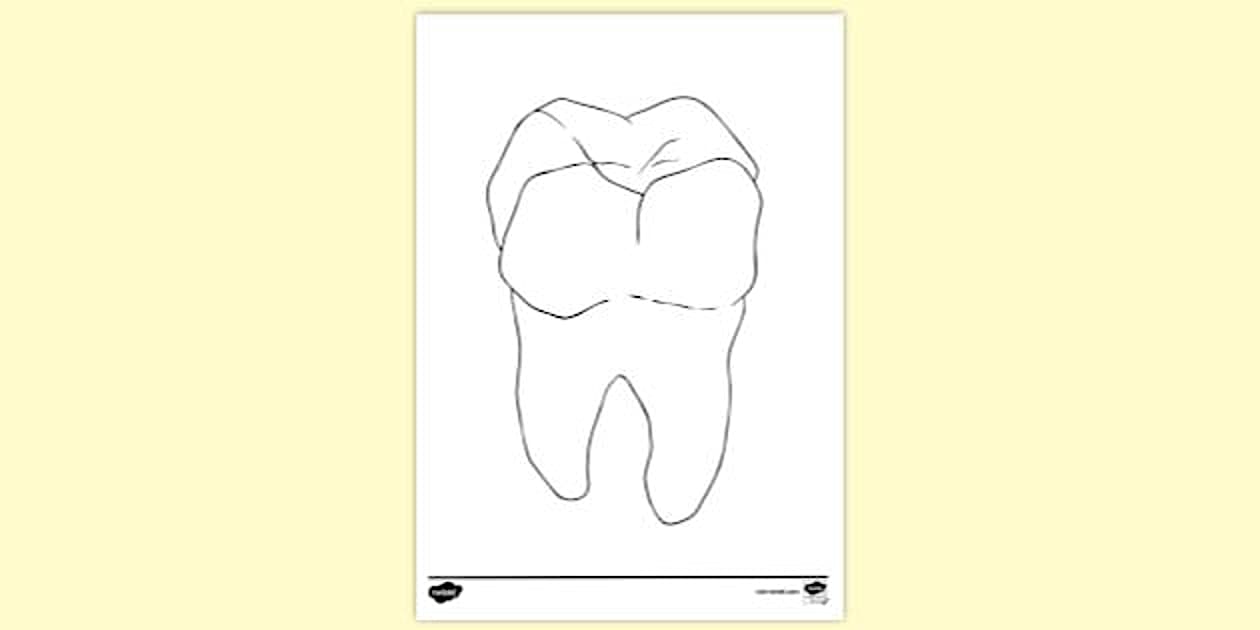 Tooth Colouring Sheet | Colouring Sheets (teacher made)
