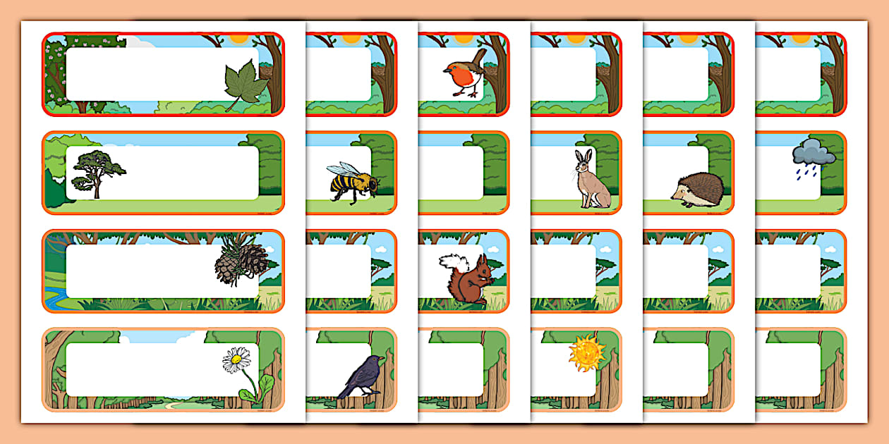 Great Outdoors Class Set Recognition Editable Tray Labels