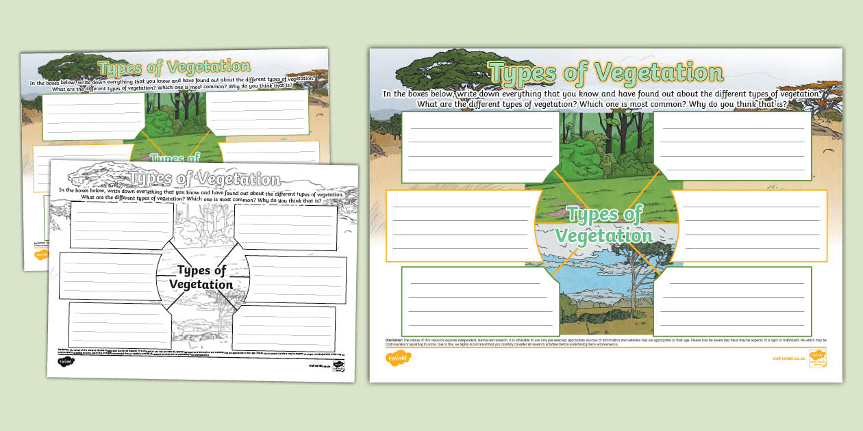 Types of Vegetation Mind Map - Twinkl Geography - Twinkl