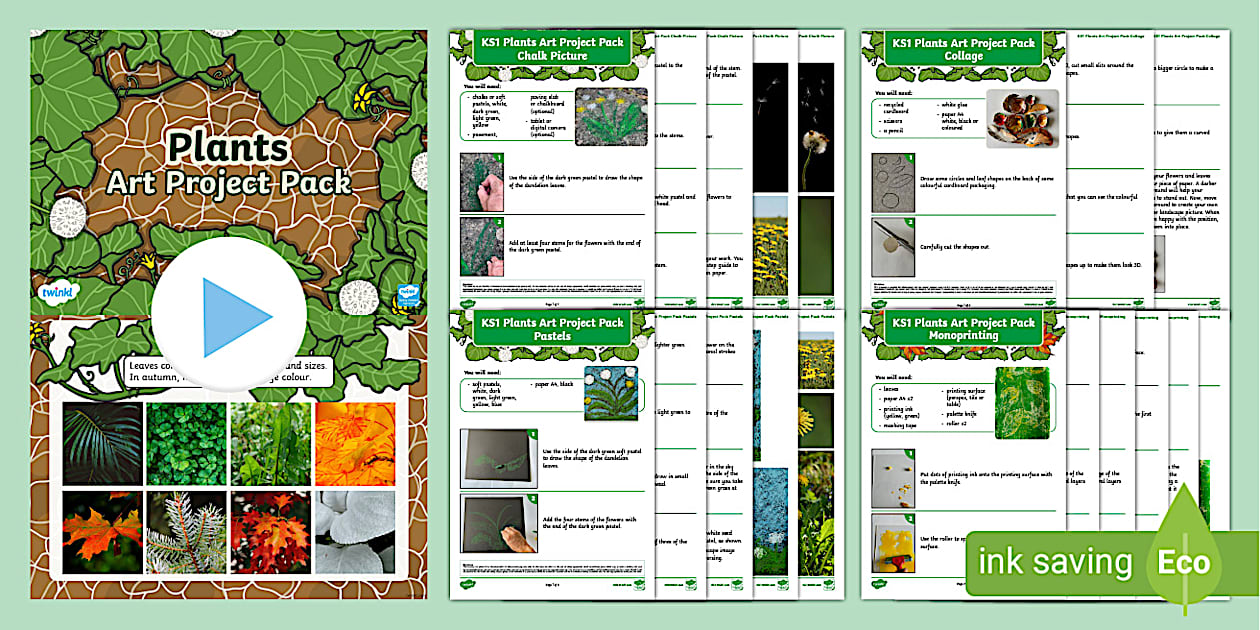 KS1 Plants: Art Project Pack (Teacher-Made) - Twinkl