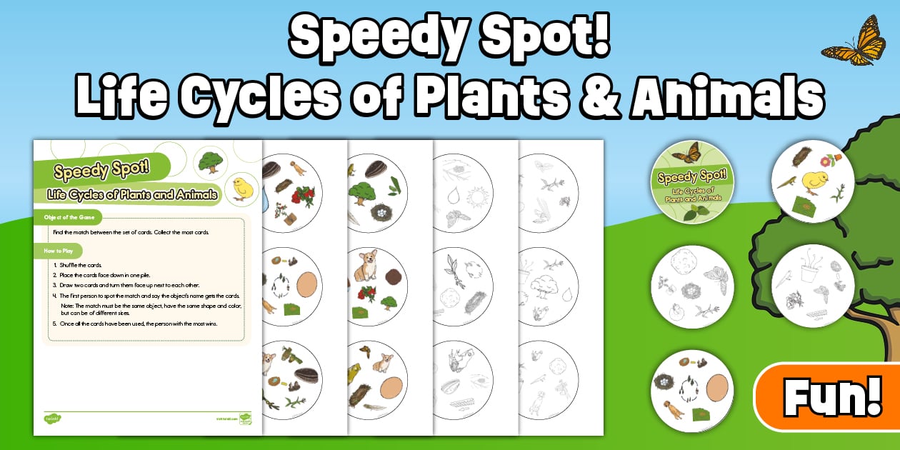 Speedy Spot! Life Cycles of Plants and Animals Game