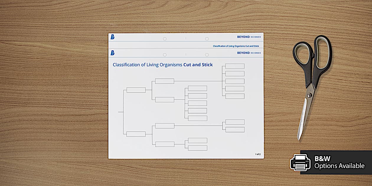 Classification of Living Organisms Cut and Stick - Twinkl