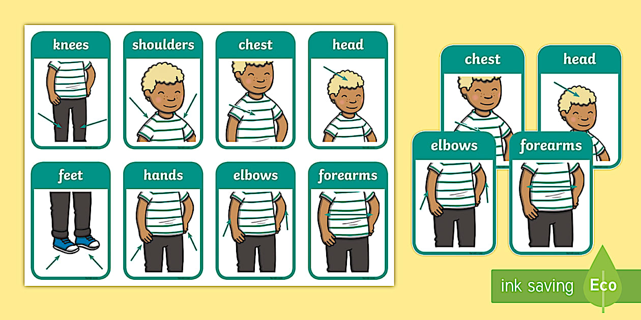 Body Parts Flash Cards - EYFS Resources (professor feito)