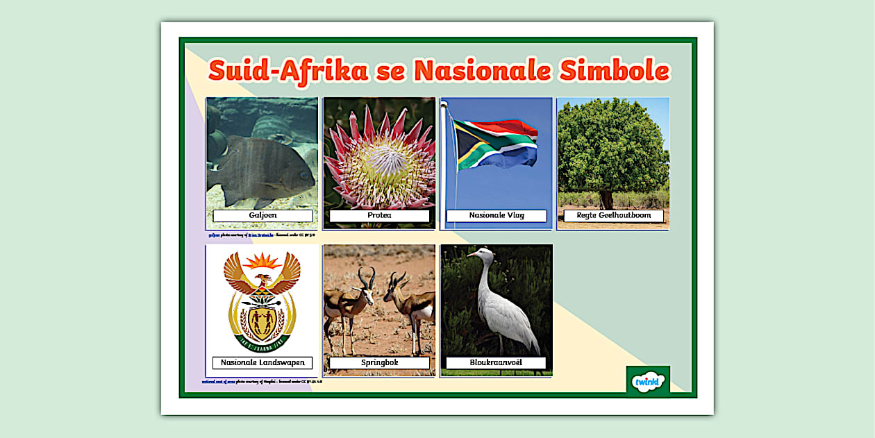 Suid-Afrika se Nasionale Simbole (l'enseignant a fait)